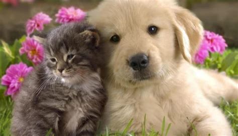 Anna Puternicka Anna Puternicka Added A New Photo