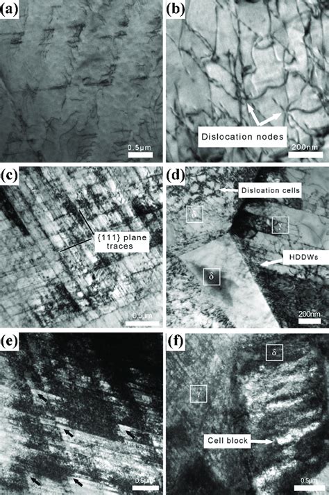 Dislocation Substructure Evolution Within Ace Austenite γ An Download Scientific Diagram
