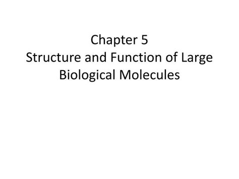 Ppt Chapter 5 Structure And Function Of Large Biological Molecules