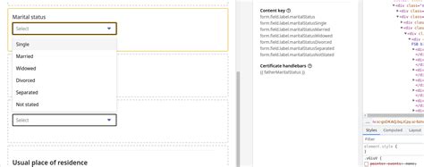Form Config Only Showing Content Keys For Options In Selects Not The Label · Issue 3161