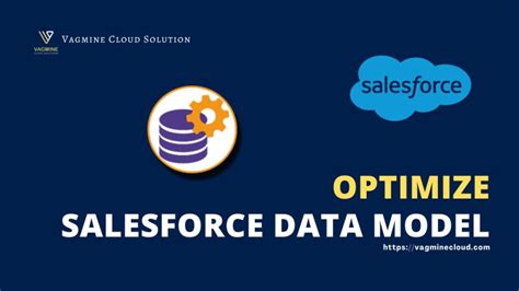 How To Optimize The Salesforce Data Model Vagmine Cloud Solution