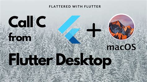 Flutterdesktop And C C Library From Macos Flutter Community