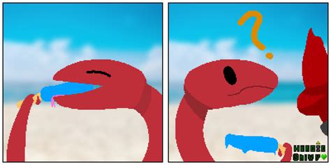 Rule 34 Animal Genitalia Canid Canine Duo Feral Food Genitals Heroic Snivy Hi Res Knot Male