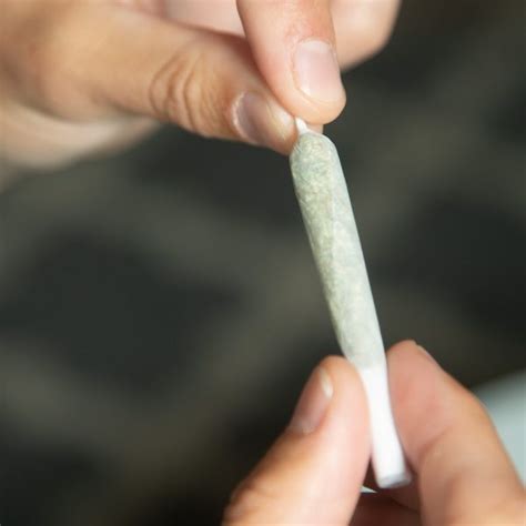 Toking My Grasshopper