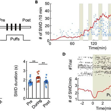 Sensory Input Regulates Absence Seizures In Gnb1 Mice A Schematic Of Download Scientific