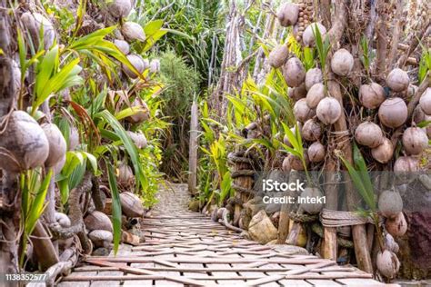 태국 아일랜드 코 팡 안의 열 대 해변에 오래 된 코코넛과 나무 다리의 벽 여행 컨셉 0명에 대한 스톡 사진 및 기타 이미지 0명 강 관광 Istock