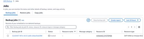Perform Cross Region Cross Account Backup And Restore Of Sap Hana Database Using Aws Backup For