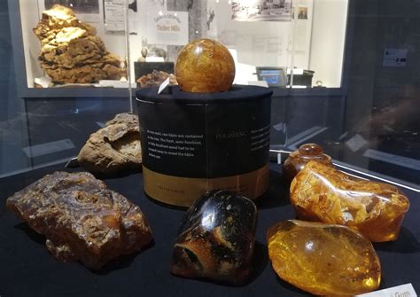 The Kauri Gum Industry Officially Began In 1814 When The First Shipment Was Sent To London Far