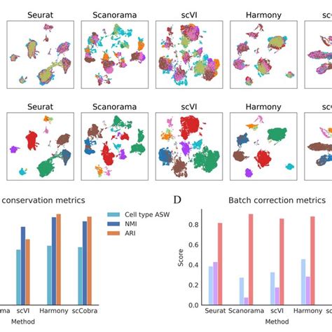 Sccobra Performs Well In Integrating A Complex Single Cell Dataset A Download Scientific