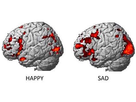 Computer Model Determines Emotions By Brain Activity Patterns Cbs News