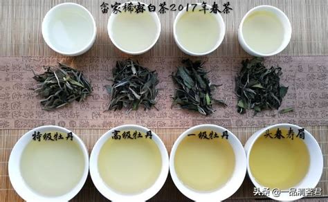 一分鐘帶你選擇一款實實在在的白茶口糧茶 每日頭條