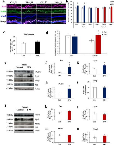 Investigation Of Autism Related Transcription Factors Underlying Sex Differences In The Effects