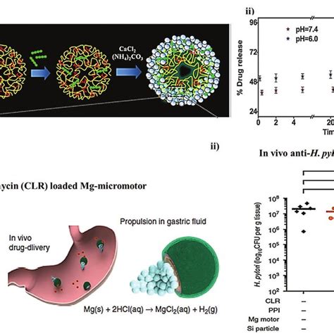 Ai In Situ Encapsulation Of Tetracycline Antibiotic During The Download Scientific Diagram