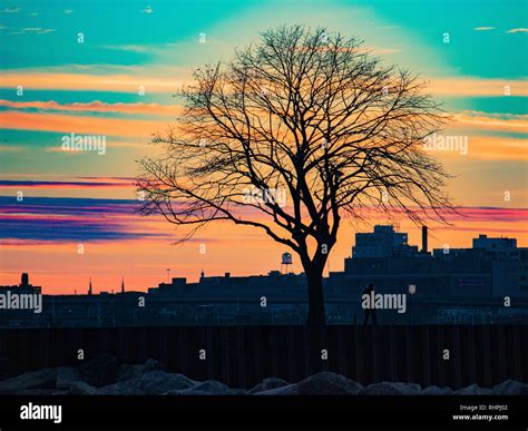 Man And Tree Silhouette Stock Photo Alamy