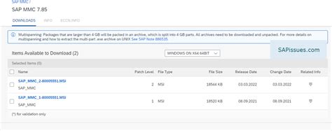 Sap Management Console Sap Mmc