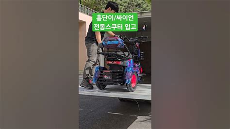 전동스쿠터 입고 홍단이와 싸이언 농기계전문채널엔테크전동스쿠터노인전동차시브코리아홍단이용가리효도선물전동스쿠터추천농업용운반차농기계리뷰농기계구입농기계농기계