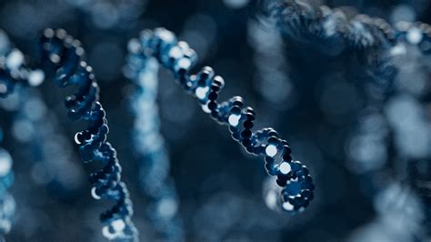 Application Note Automation Of The Oxford Nanopore Ligation Sequencing Kit Xl V14 On The