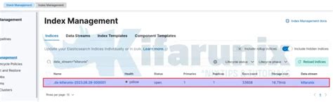 Configure Filebeat 8 To Write Logs To Specific Data Stream
