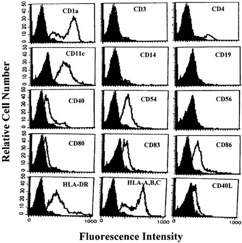 Surface Phenotype Of Monocyte Derived Dc The Histogram Shows The Download Scientific Diagram