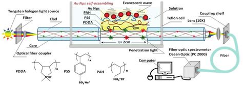 The Experimental Setup Of The Optical Fiber Lspr Sensor Reprinted With Download Scientific