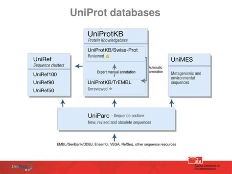 Ppt A Hub Of Integrated Protein Data Powerpoint