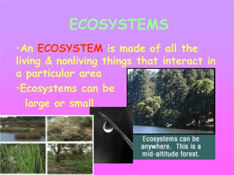 Interdependence Power Point