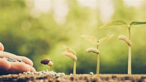 Agriculture Shade Net Eyouagro