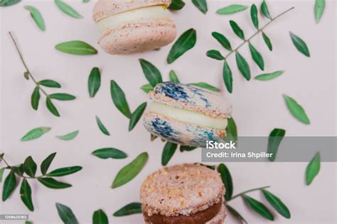 파스텔 베이지 색 배경에 녹색 잎이 있는 다양한 마카롱 창의적이고 우울한 그림 0명에 대한 스톡 사진 및 기타 이미지 0명