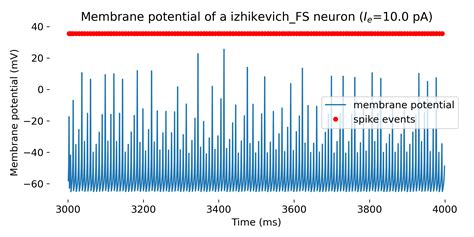 Step By Step Nest Single Neuron Simulation Fabrizio Musacchio