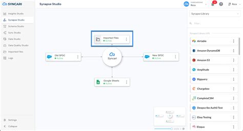 Using The Imported Files Synapse Syncari