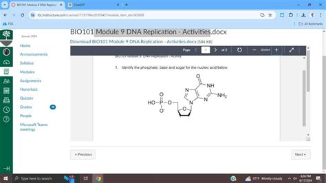 bio101 module 9 dna replica chatgpt courses 7157