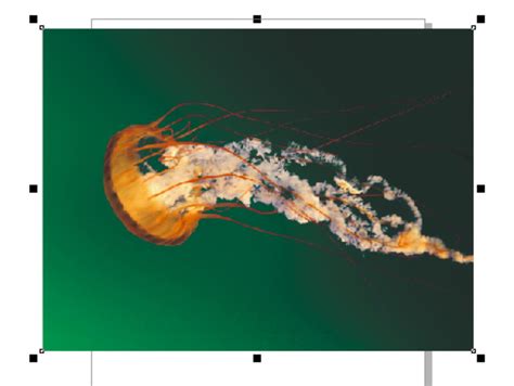 Cara Merubah Warna Bitmap Pada Corel Belajar Printis