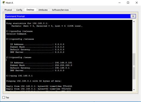 appendix packet tracer configuring an integrated router instructions answers
