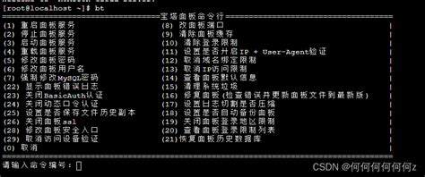 Linux Centos 服务器部署php项目宝塔php项目部署到linux服务器使用宝塔 Csdn博客