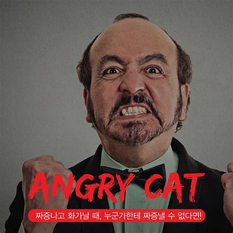 Cnkcosmedical 짜증 나고 화가 난다면 앵그리캣을 만나보세요 아마 짜증 나는 일은