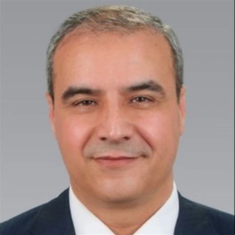mahmoud aly chief operations officer coo business integrator xing