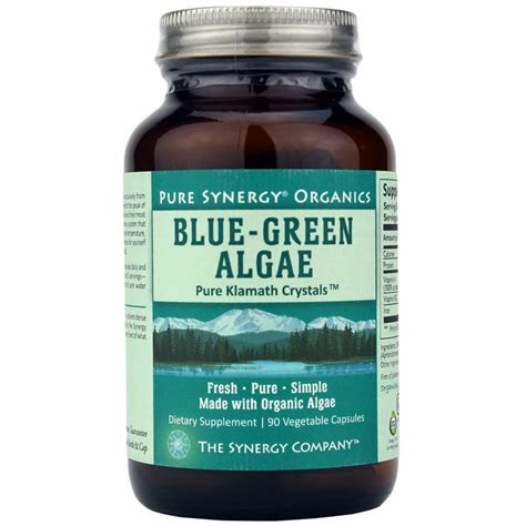 Algae Supplements What You Need To Know About These Supplements