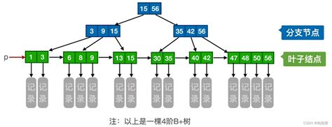 数据结构B树B 树 CSDN博客