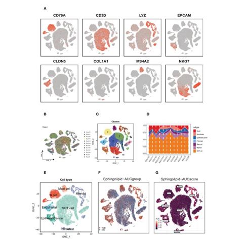 Annotation Of Single Cell Data And Sm Activity A Typical Marker Download Scientific Diagram