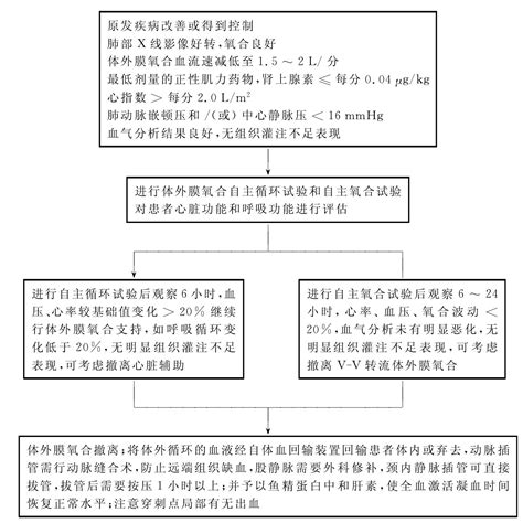 体外膜氧合撤离流程是怎么样的 急救医学 医学