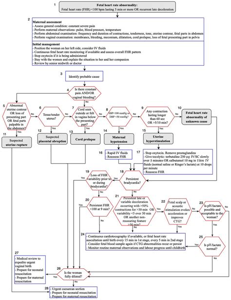 Algorithm A Fetal Heart Rate Bradycardia Or Late Decelerations