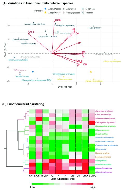 A Functional Trait Diversity Variation Between Species Calculated Download Scientific