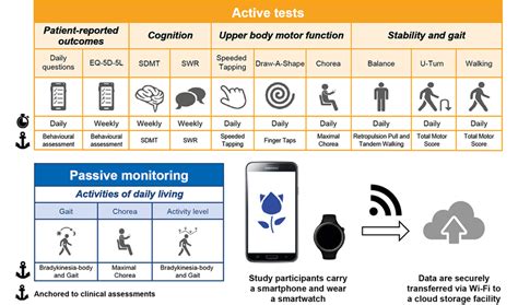 Overview Of The Roche Hd Monitoring App And Workflow For The Daily Download Scientific Diagram