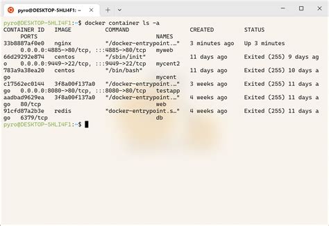 Docker 사용법 4 컨테이너 생성관리