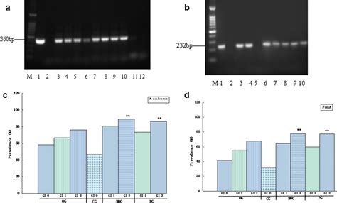 Figure 1 From Detection Of Fusobacterium Nucleatum And Fada Adhesin Gene In Patients With