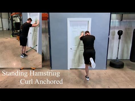 Seated Hamstring Curls With Theraband