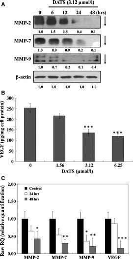 Dats Affected The Level Of Proteins Of Associated Migration And
