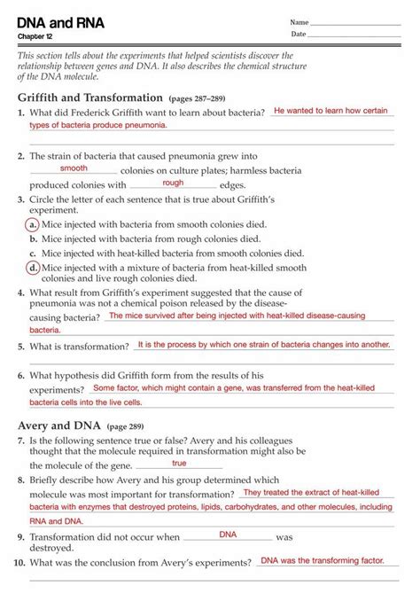 Mendelian Genetics Worksheet Answer Key Unique Worksheet Genetics Vocabulary Worksheet Worksheet