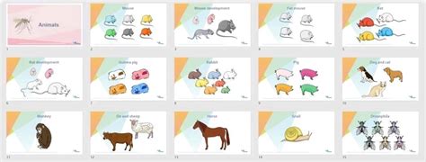 宝藏级资源！graphpad、origin等各种作图万能模板，输入数据，直接出图！ 哔哩哔哩