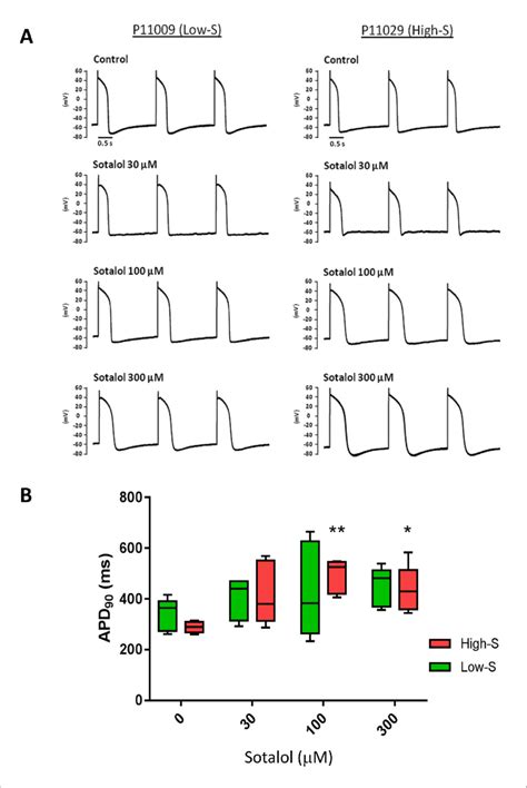 Patch Clamp Analysis Of Action Potential Ap In Representative Download Scientific Diagram